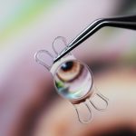 an-PLD - Preloaded Intraocular Lens for Dogs | an-vision