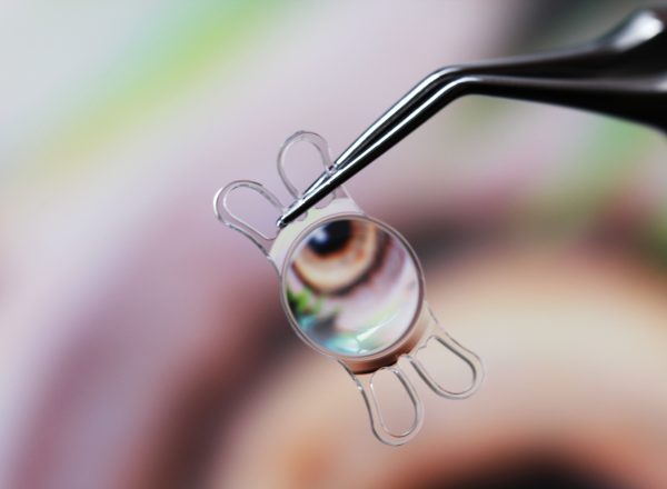 an-PLD - Preloaded Intraocular Lens for Dogs | an-vision