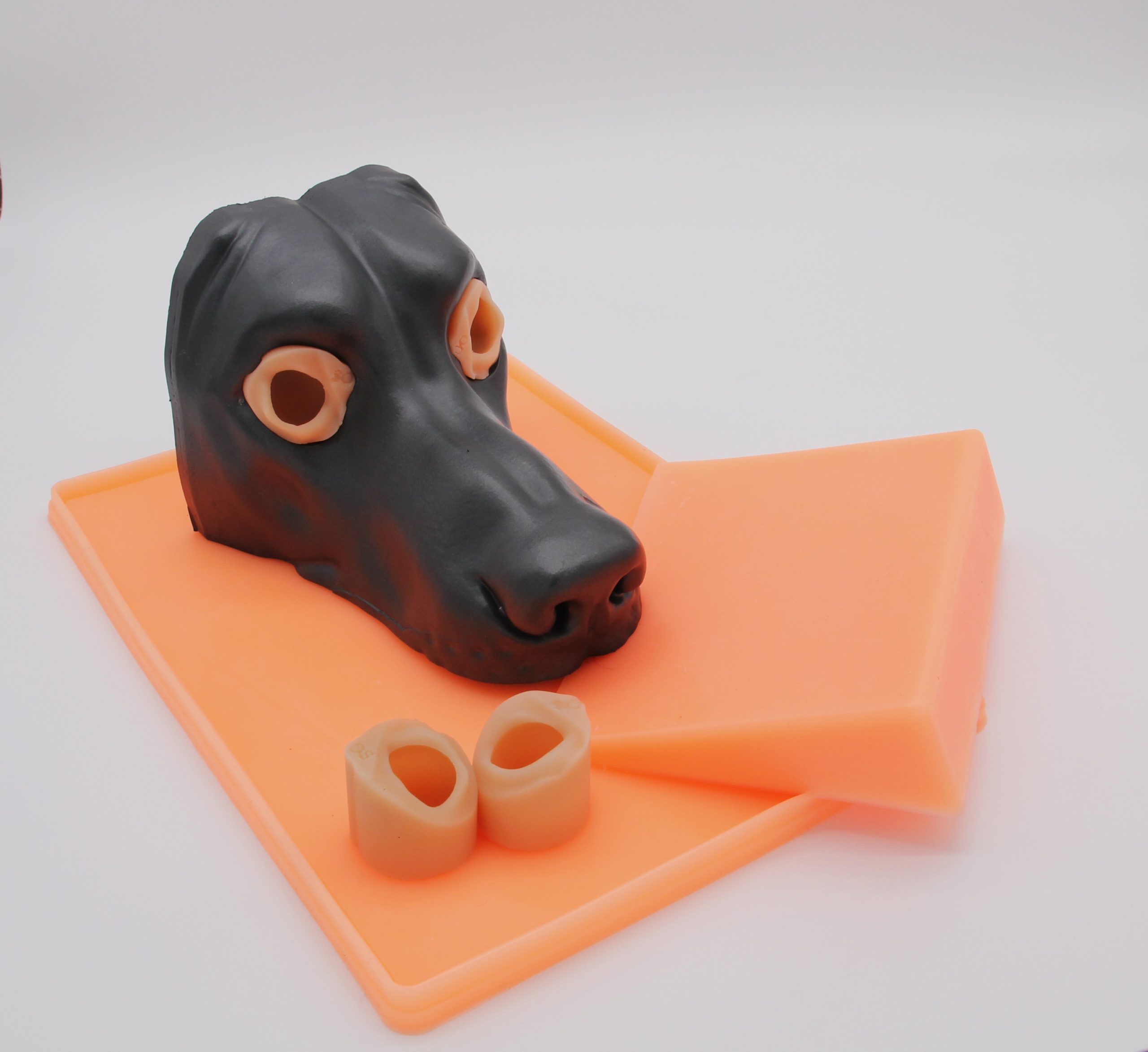 Head Pack - Mesocephalic Dog (Long Nose) | an-vision